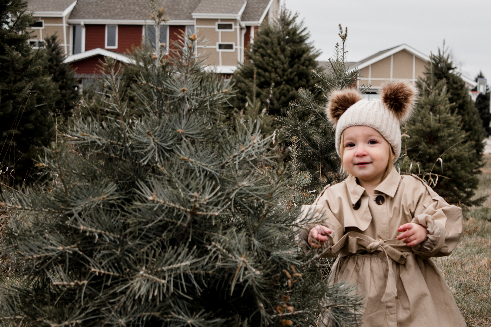 Omaha Christmas Tree Farm | Everley & Me | Omaha Style Blog